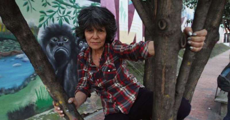 Marina Chapman Shares Her Story Of Being Raised By Monkeys
