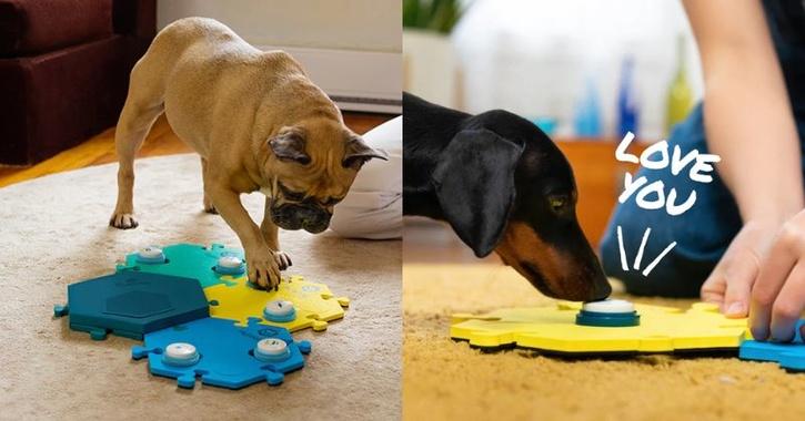 This Push-Button System For Dogs Helps Them Talk To Their Owner