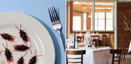 Chef Releases 20 Cockroaches Into Restaurant Kitchen After Fight