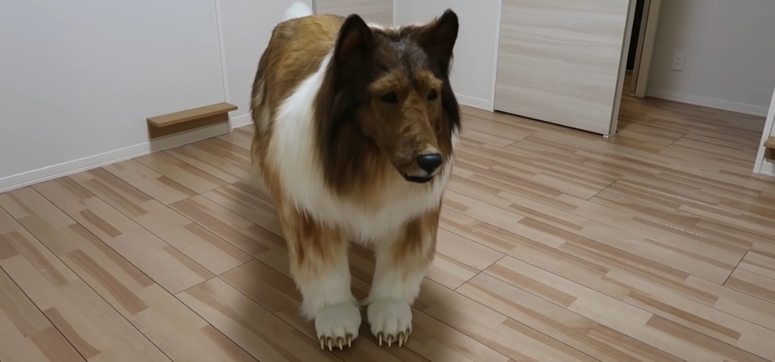 Man Who Became A Dog Reveals Why He Did It