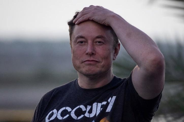 Elon Musk Fan Gained 2,900% On Tesla Stocks & Then Saw $1.5 Million ...
