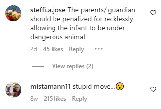 Video Of Child Playing With Wild Monkeys Goes Viral