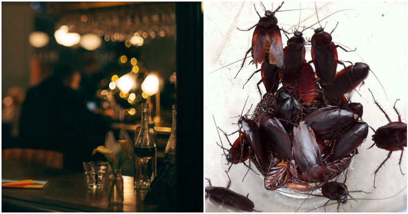 UK Chef Releases 20 Cockroaches In Pub Kitchen After Dispute With Boss