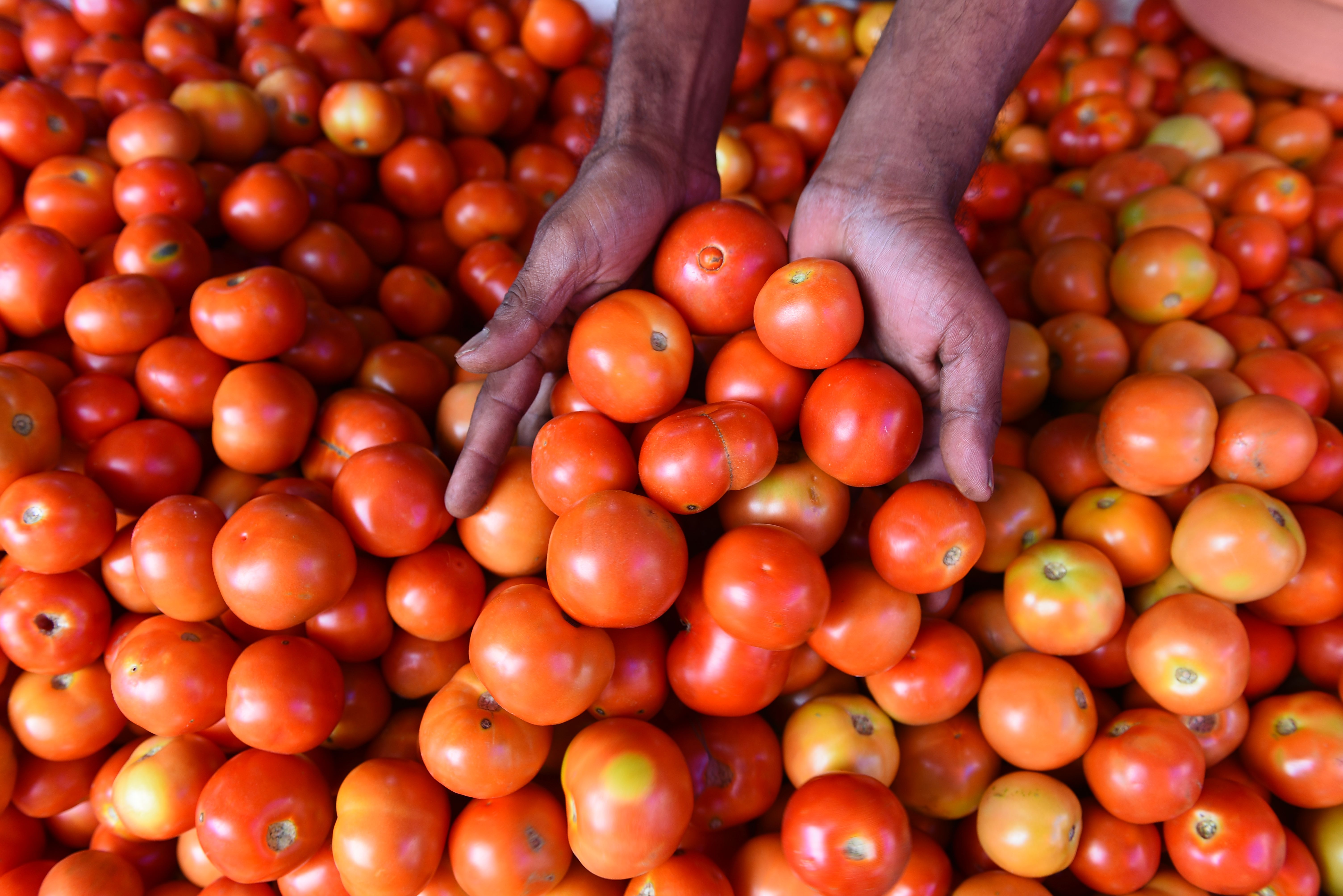 Tomato Prices Continue To Shoot Up, Crosses Rs 150 Per Kg In Delhi ...