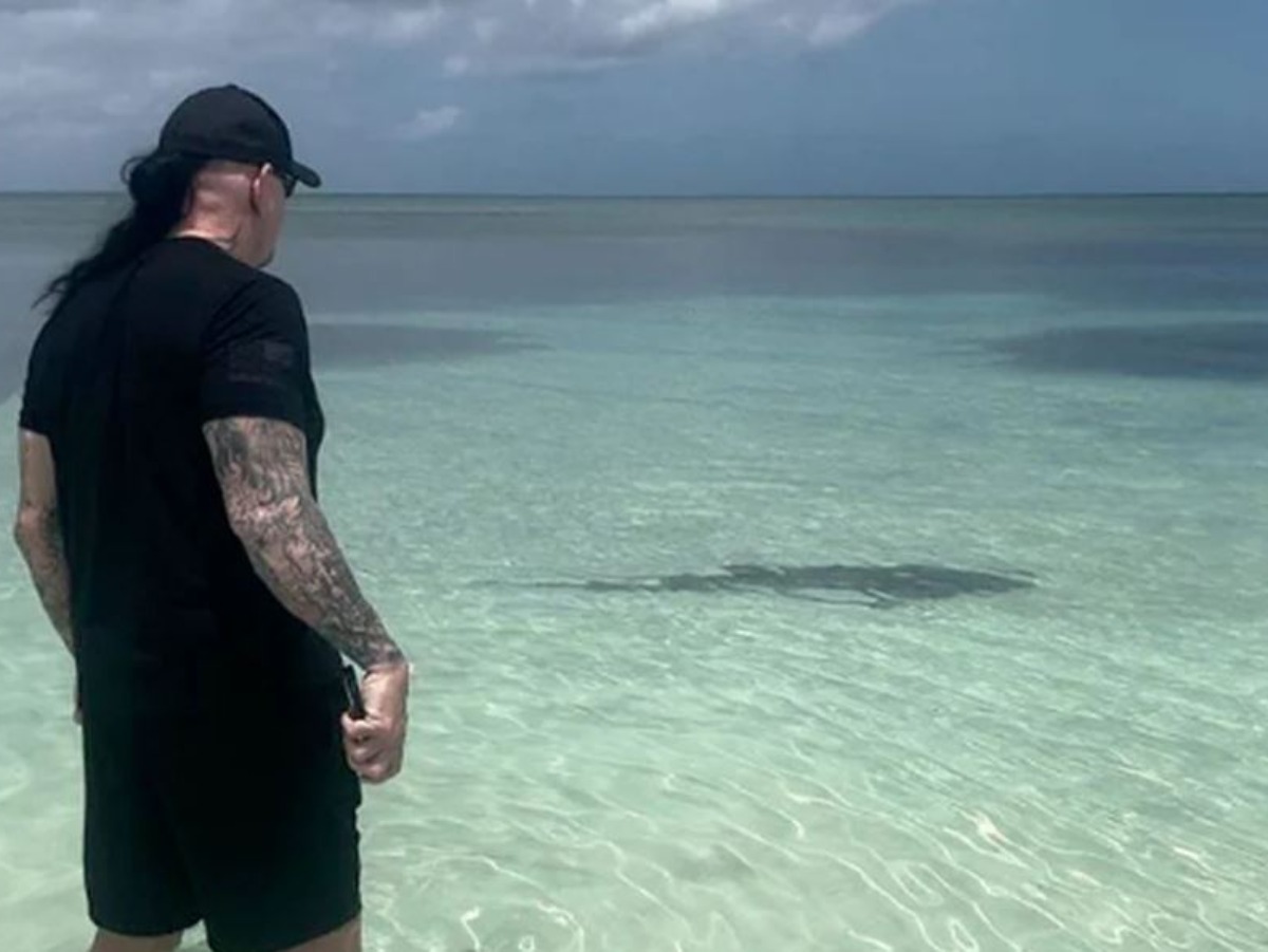 'Deadman' To The Rescue - WWE Legend The Undertaker Protects Wife From ...