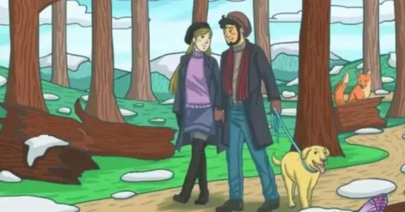 A Genius Can Easily Spot The Hidden Rabbit In The Jungle Within 8 ...