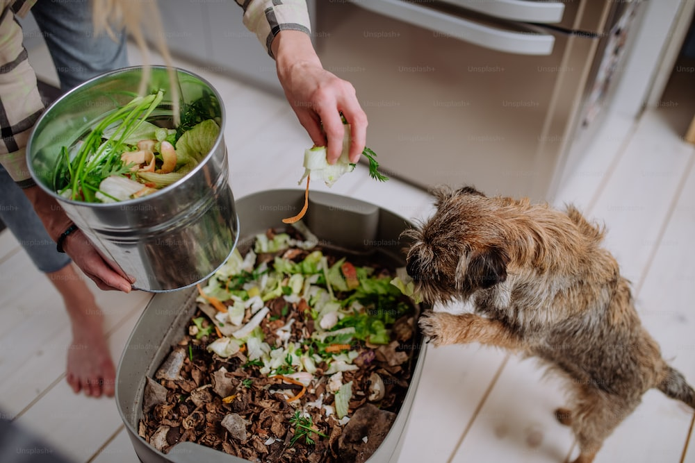 How To Start Your Own Compost Pile At Home