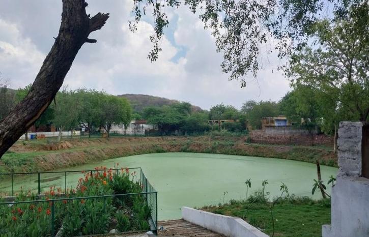 Amrit Sarovars Rejuvenate Haryana Villages, Resolve Wastewater Problem