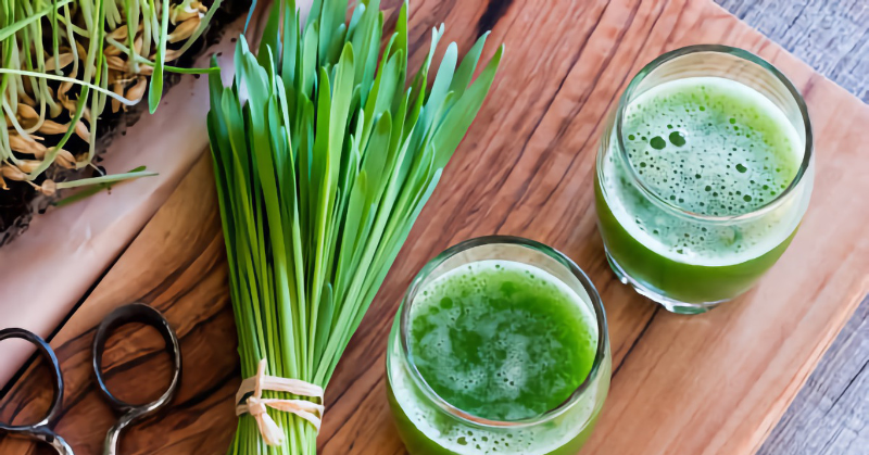 How To Grow Wheatgrass From Seeds At Home