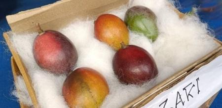 World's Most Expensive Mango : This Ruby Red-Coloured Miyazaki Mango Is ...