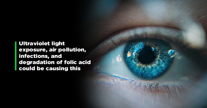 Study Reveals Alarming Link Between Climate Change And Vision Impairment