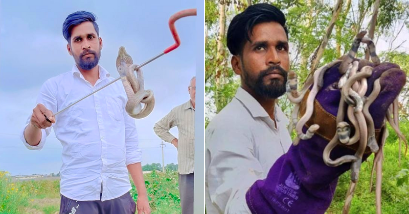 Snake Rescuer From Haryana Bitten 9 Times