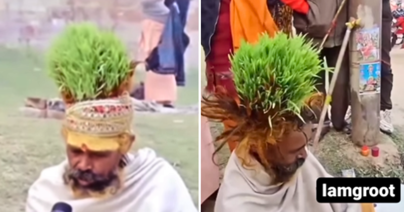 Plant-Head: Man Grows Greens On His Head