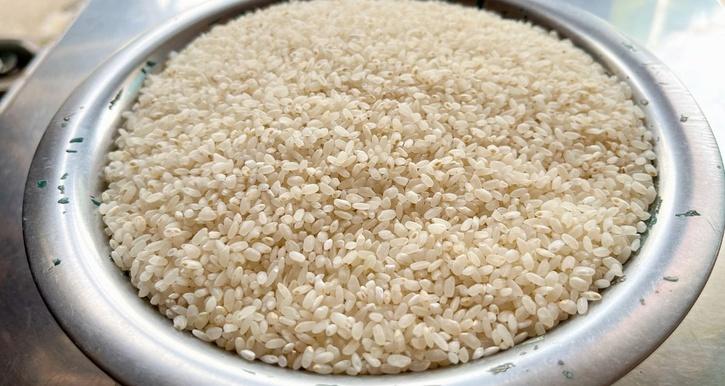 Mushk Budji Better Than Apple For Farmers Of South Kashmir’s Sagam