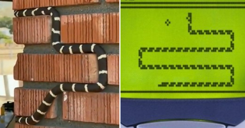 Nokia Snake Game Comes To Life In Viral Video