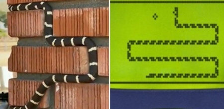 Nokia Snake Game Comes To Life In Viral Video