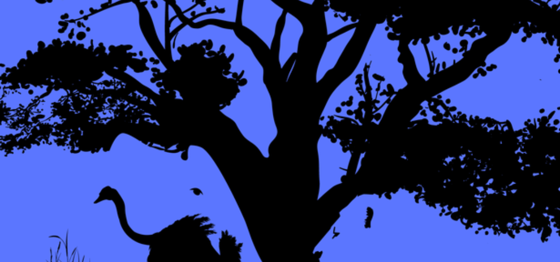 Optical Illusion: Animal You See Will Reveal Your Key Personality