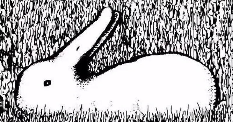First Images You See In The Optical Illusions Uncover Your Secret ...