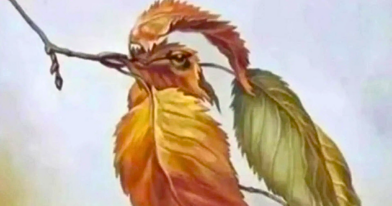 Optical Illusion: Bird Or Leaves, What Do You See First?