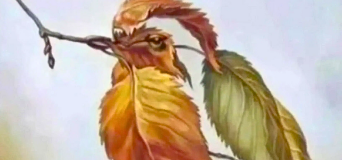 Optical Illusion: Bird Or Leaves, What Do You See First?