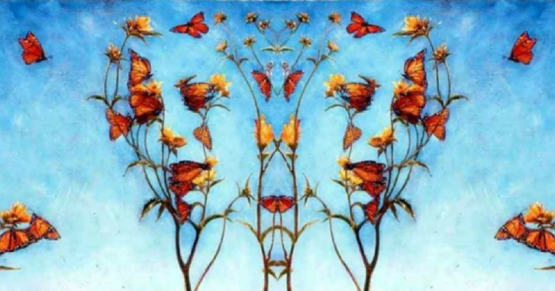 Optical Illusion Reveals Your Expectations From Love