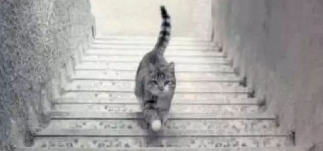 Optical Illusion Reveals If You Are An Optimist Or Pessimist