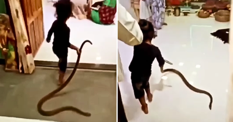 Video Of Toddler Dragging Snake Into House Goes Viral