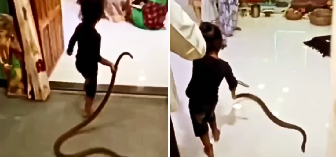 Video Of Toddler Dragging Snake Into House Goes Viral