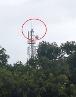 UP Man Climbs Up 100-ft Tower Demanding To Marry The Girl He Wants