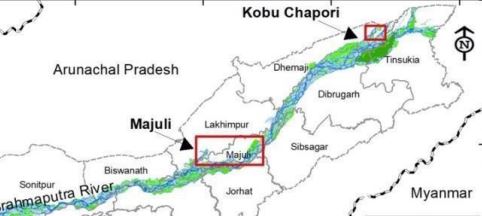 Pets Bear The Brunt Of Eviction Order Given To Kobu Chapori Residents ...