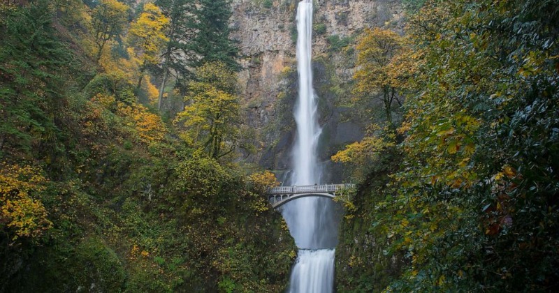 'Fell Nearly 200 Feet': US Man Falls And Dies While Hiking In Front Of ...
