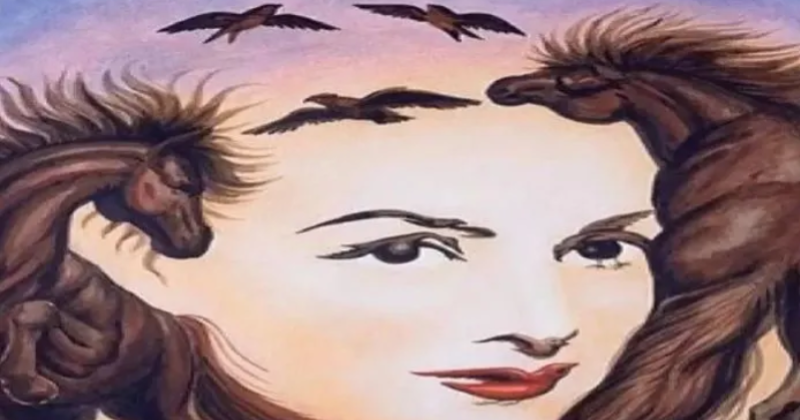 Optical Illusion: Birds Or Horse, What Did You See First?
