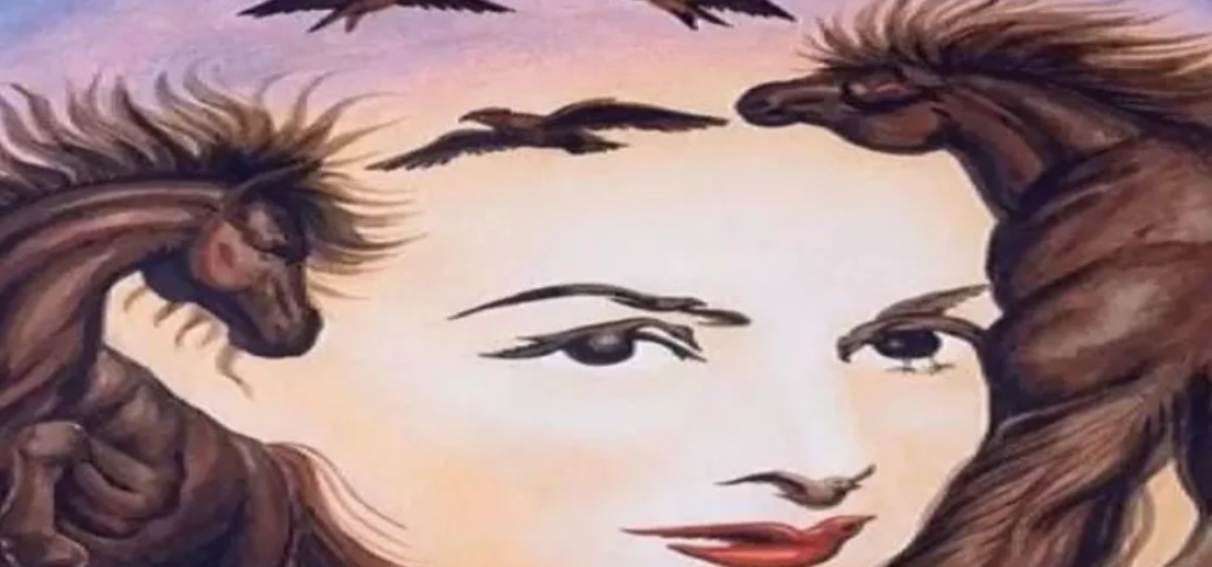 Optical Illusion: Birds Or Horse, What Did You See First?