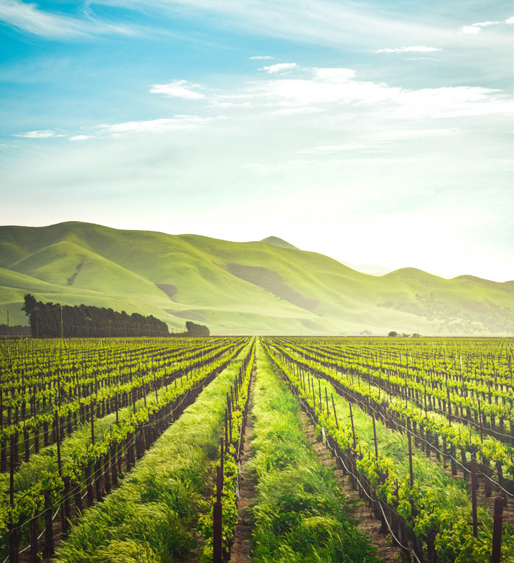 Explained: How D2C Organic Farming Is Also Empowering Local Communities