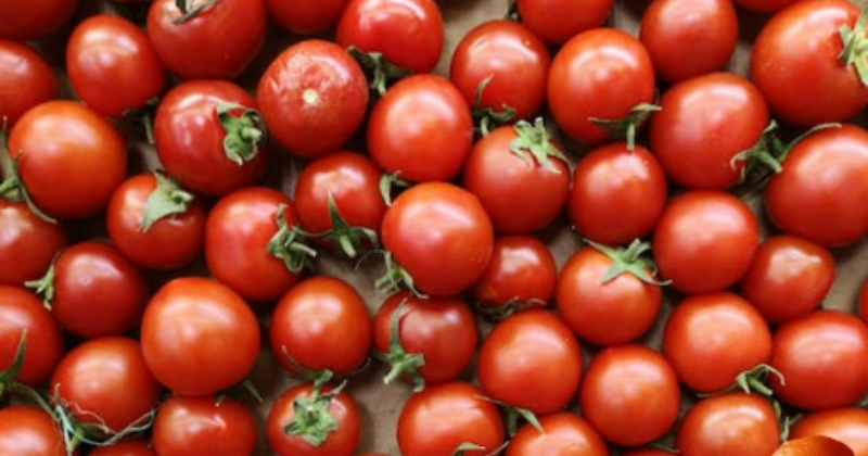 Optical Illusion Test: Only A Lover Of Sweets Can Spot Hidden The Gulab ...