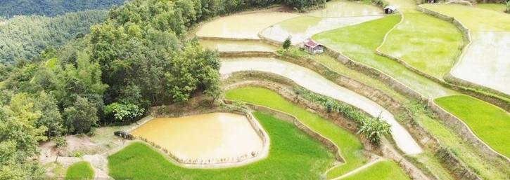 Nagaland's Zabo Water Conservation Method: How This Indigenous System ...