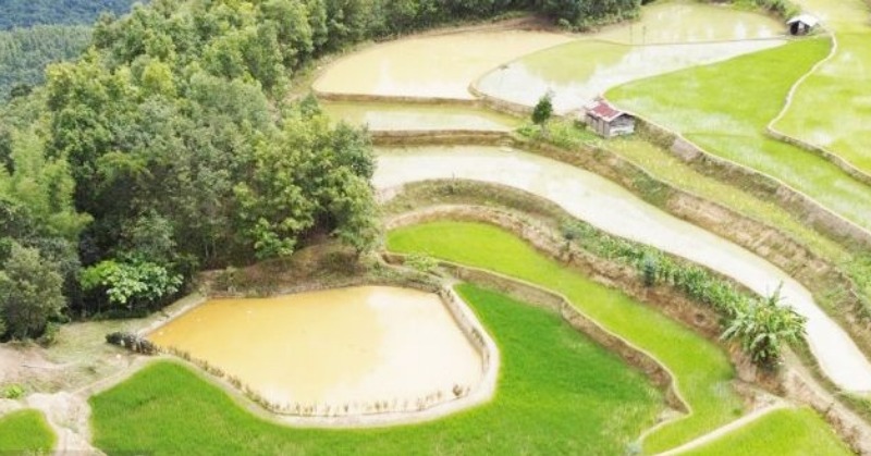 Nagaland's Zabo Water Conservation Method: How This Indigenous System Can Battle Climate Change