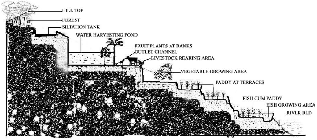 Nagaland's Zabo Water Conservation Method: How This Indigenous System ...