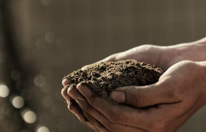 Garden Soil: The Ultimate Guide To The Natural Dirt In Our Gardens