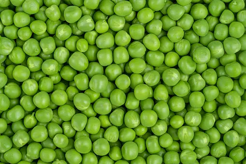 6 Easy Steps To Plant, Grow, And Harvest Your Own Peas Right At Home