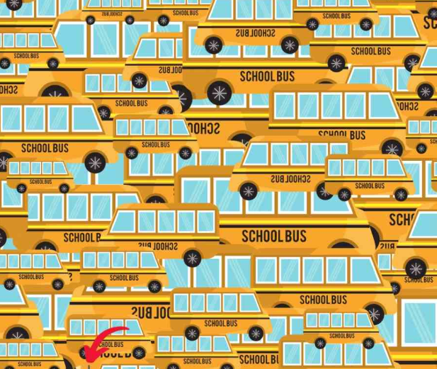 Optical Illusion: Find The Hidden Pencil Among The Buses In 10 Seconds