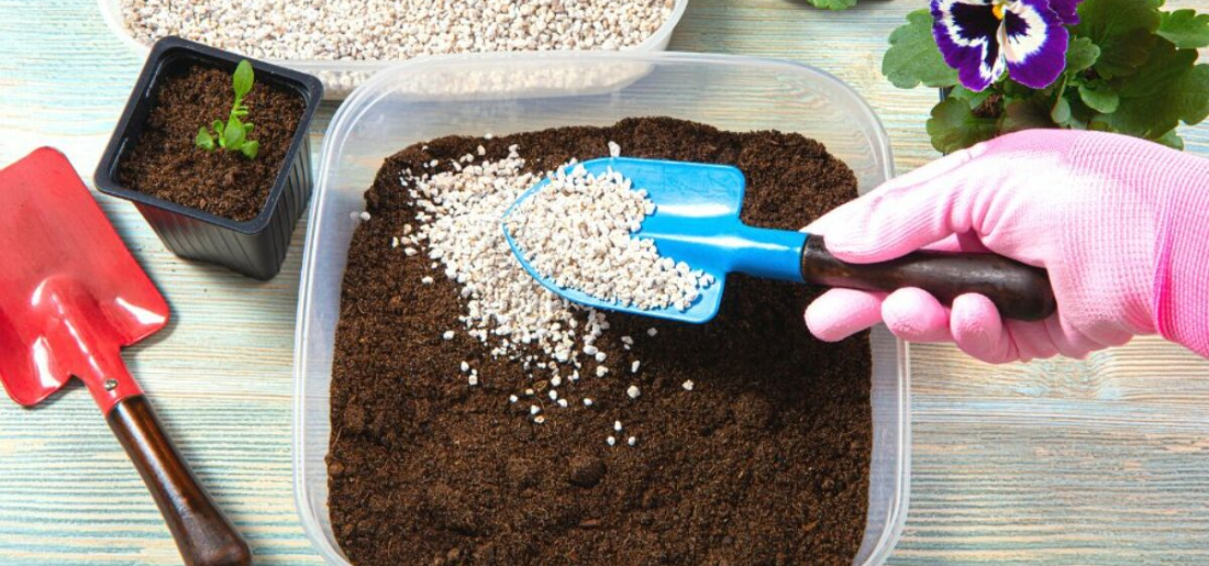 Perlite: The Ultimate Guide To Perlite And How To Use It In Garden ...