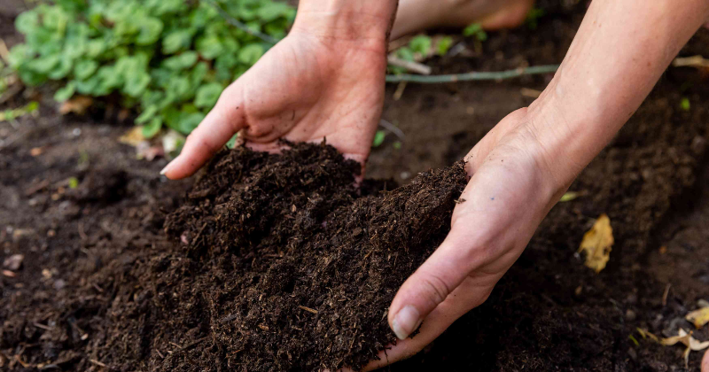 Types Of Soil Common In Home Gardens In India