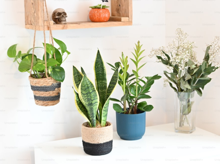 Small Space Gardening - 7 Tips And Tricks To Make The Most Of Your Space