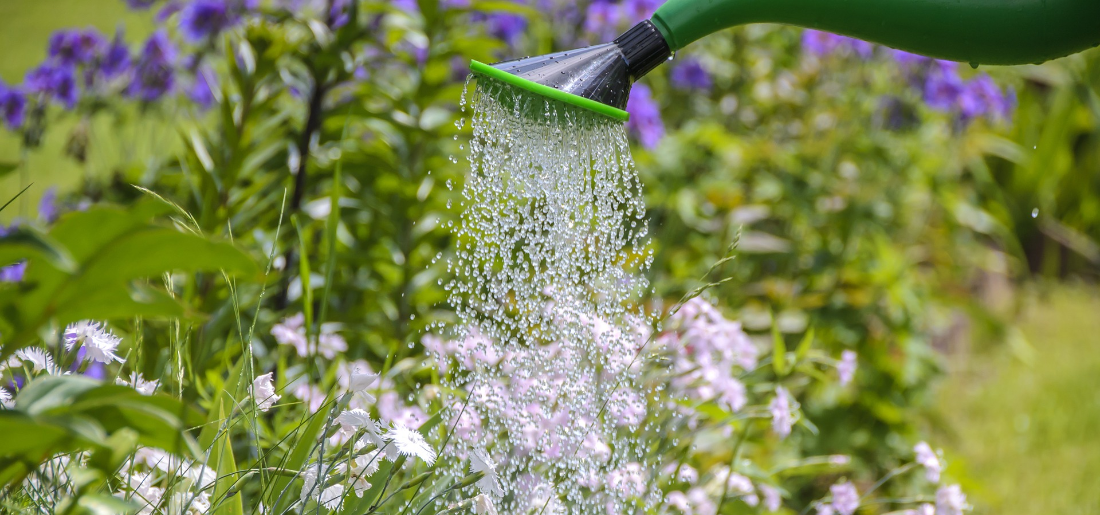 3 Water-Soluble Organic Fertilizer Options