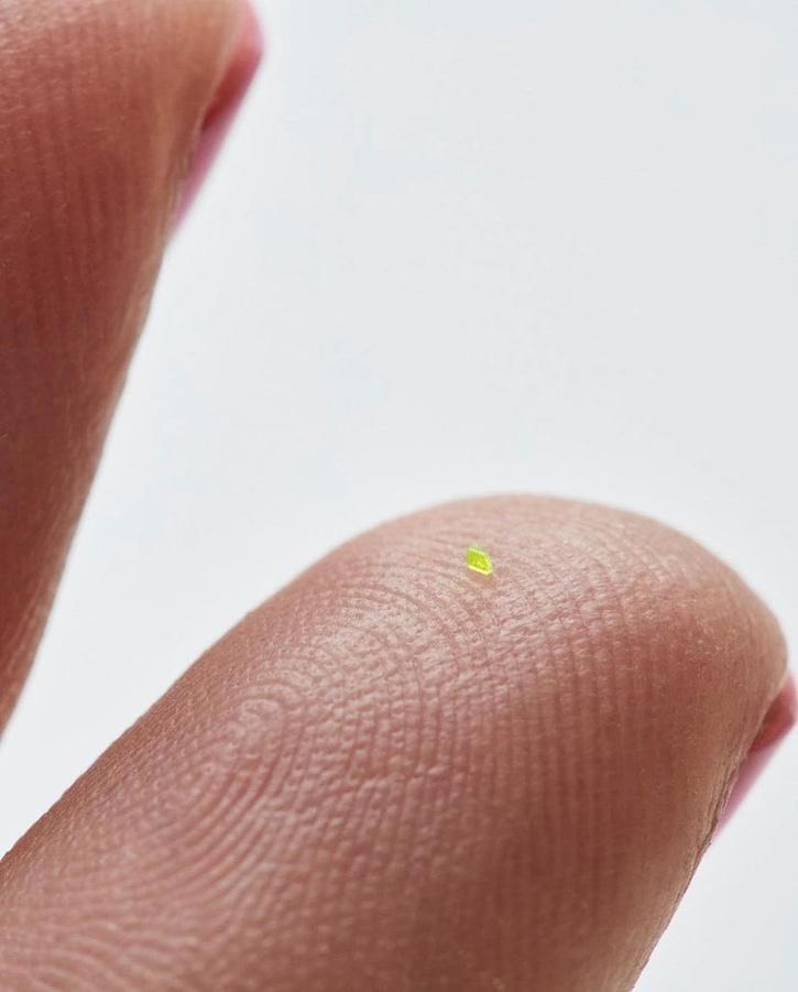 This Microscopic Louis Vuitton Bag Is Tinier Than A Grain Of Salt