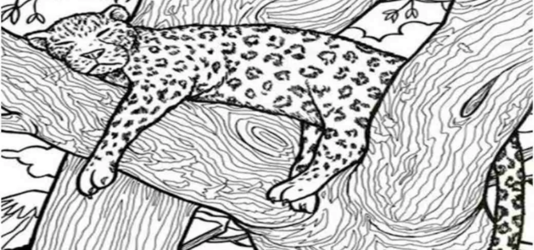 Optical Illusion: Find The Hidden Paintbrush In This Image