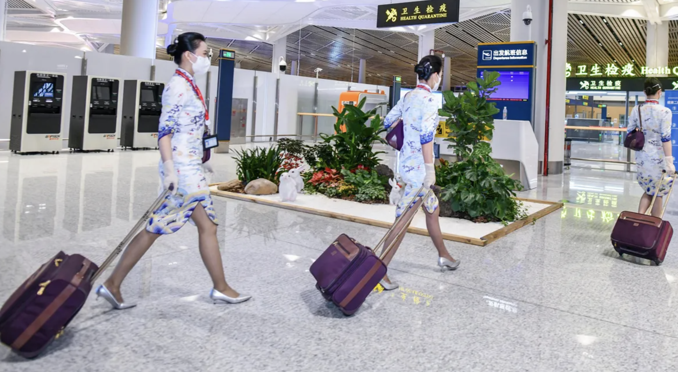 Chinese Airline Faces Backlash for Suspending 'Overweight' Flight ...