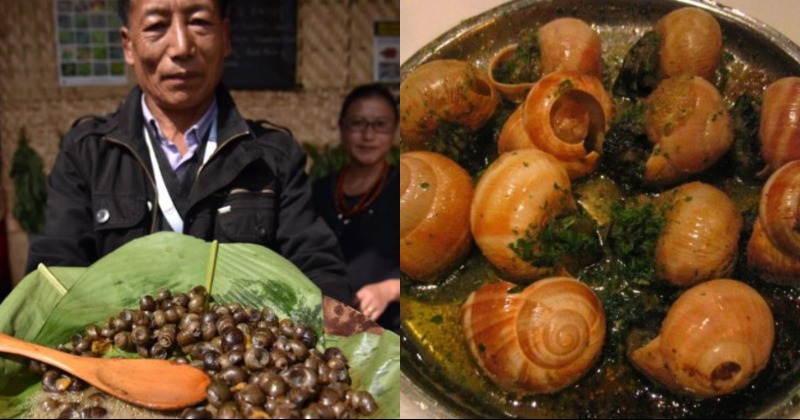 Protein-Rich Snails Eaten In Northeast India Could Be Made 'Boutique ...