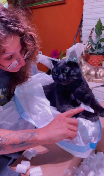 Oregon: Woman Gets Her Dead Cat Freeze-Dried For Rs 3 Lakh